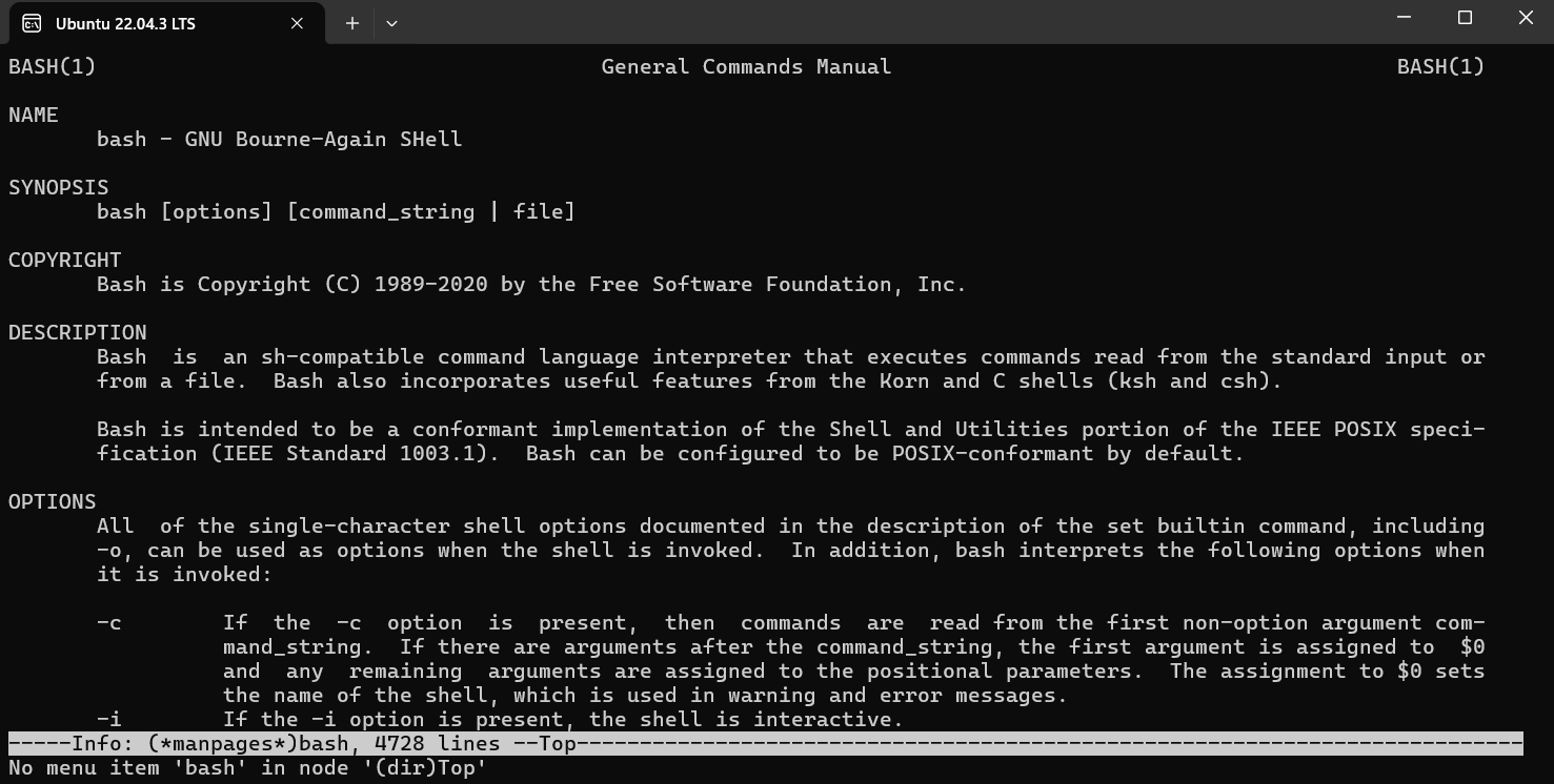 Ways to access bash documentation