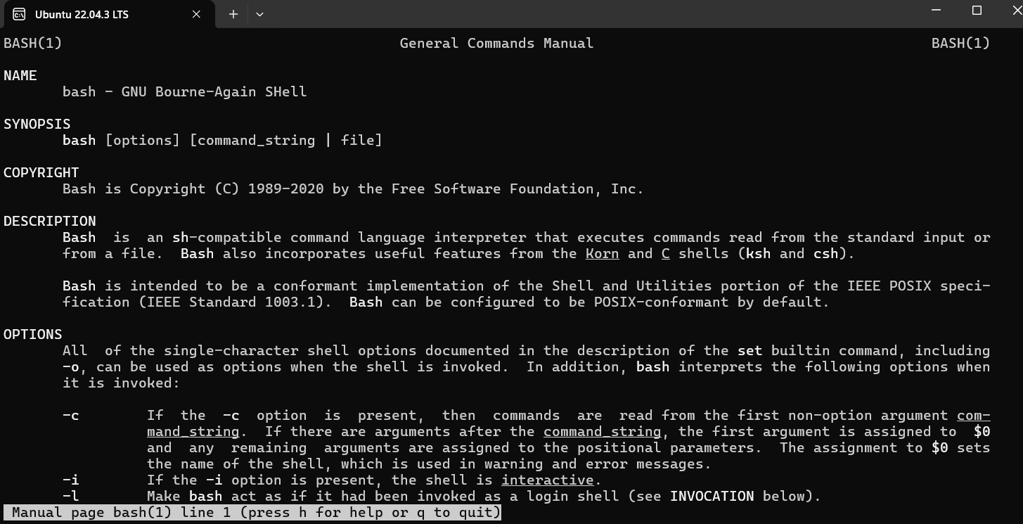 Ways to access bash documentation